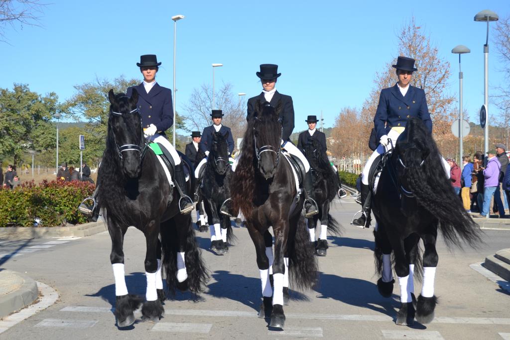 Els Tres Tombs omplen un any més els carrers de Vilanova i la Geltrú ... Els Tres Tombs omplen un any més els carrers de Vilanova i la Geltrú ...